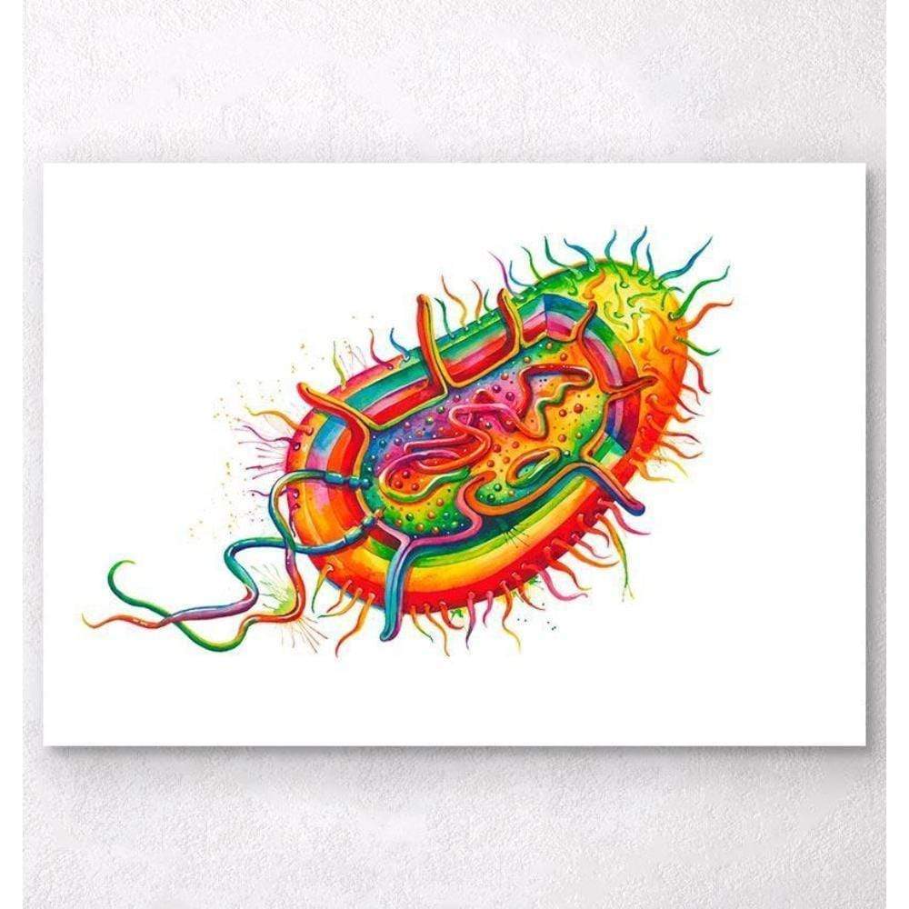 Bacteria Structure Watercolor Splash - Vet Equip Australia