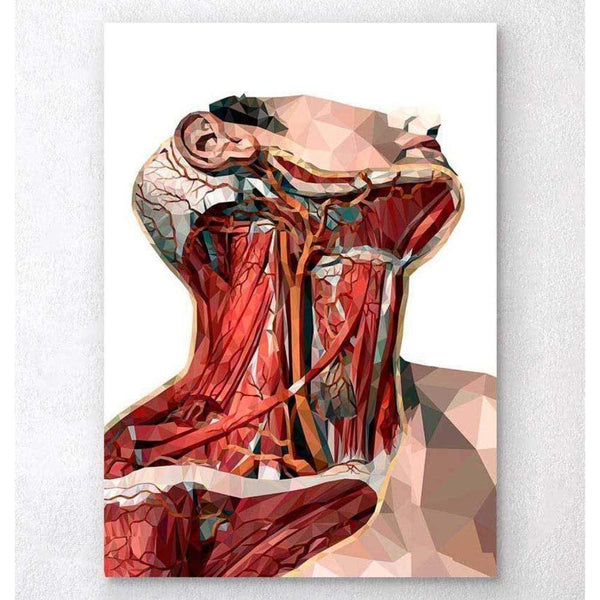 Geometric Neck Anatomy Art - Vet Equip Australia