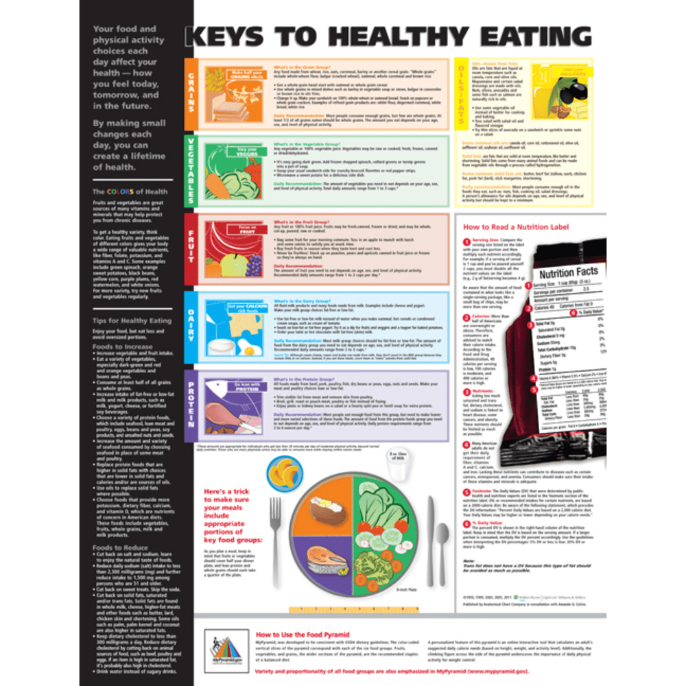 Keys to Healthy Eating Anatomical Chart - Vet Equip Australia