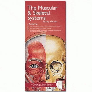 Muscular & Skeletal System Study Guide - Vet Equip Australia