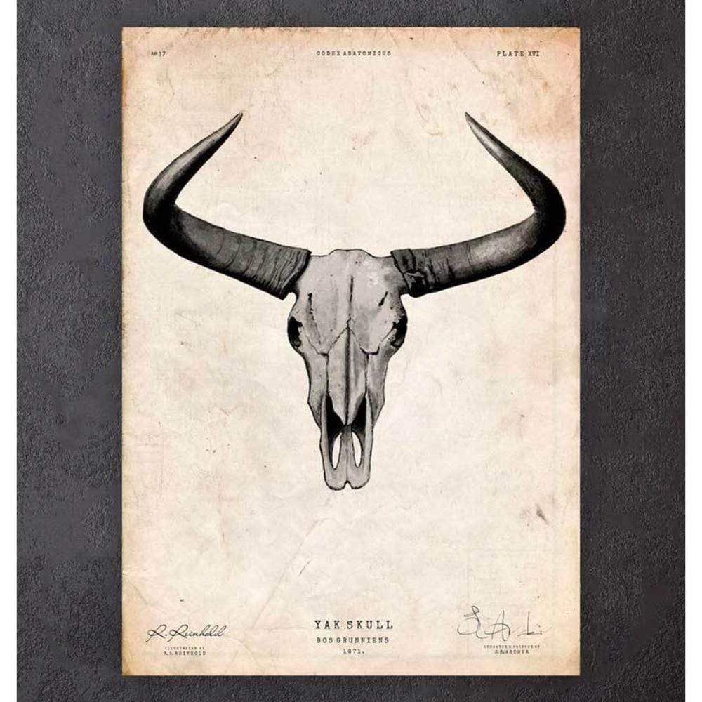 Yak Skull Print - Vet Equip Australia